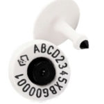 Allflex NLIS Cattle Tag - 4Tags.com.au
