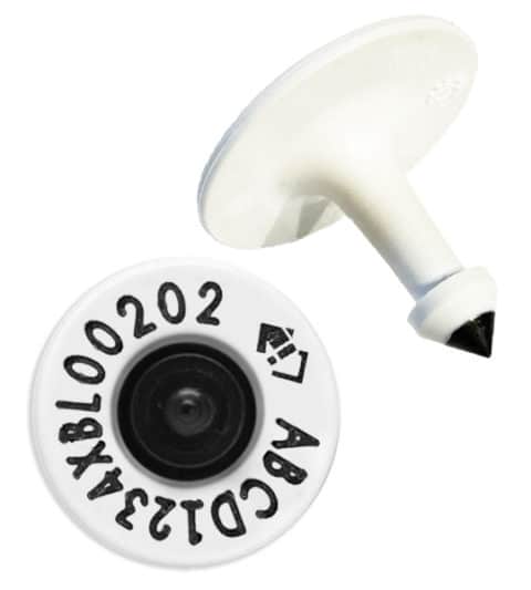 Allflex NLIS Cattle Tag - 4Tags.com.au