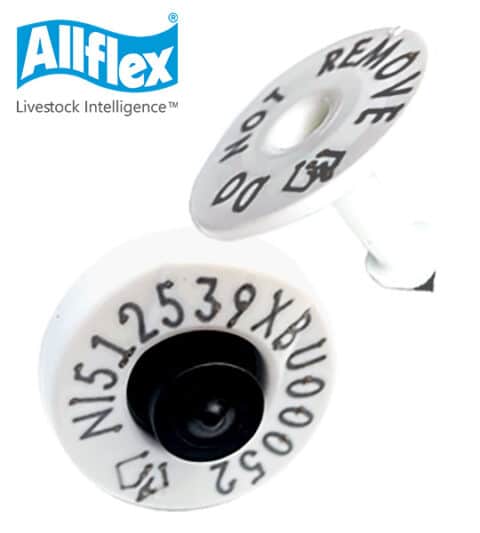Allflex NLIS Cattle Tag - 4Tags.com.au