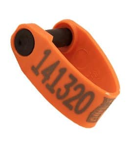 Allflex RapID NLIS RFID Tags - 4Tags.com.au