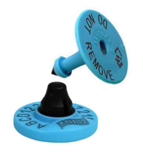 Allflex Two Piece Lightweight EID NLIS Sheep & Goat Tag - 4Tags.com.au