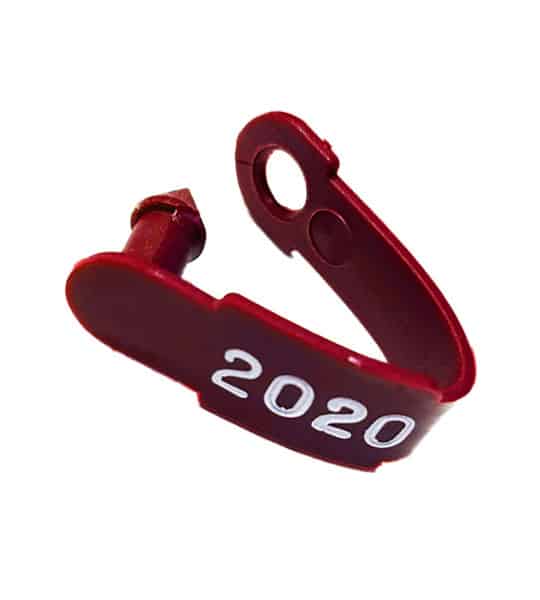 Allflex Flexi tags – 4Tags.com.au