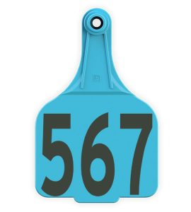 VID Cattle Tags - 4Tags.com.au