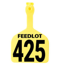 Zeetag One Piece Feedlot Tag - 4Tags.com.au