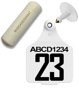 NLIS Cattle Bolus - 4Tags.com.au