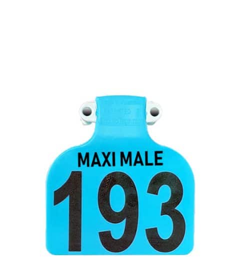 Enduro Maxi Male ET M4 - 4Tags.com.au
