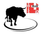 SwissPlus ID - 4Tags.com.au