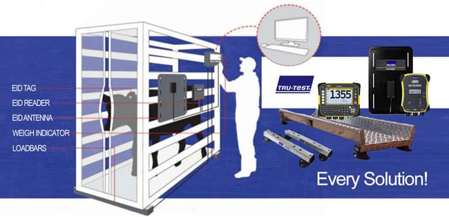 Choosing The Right Tru-Test Weighscales & Indicators - 4Tags.com.au