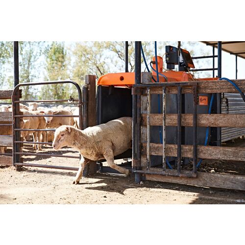 Gallagher Sheep Auto EID Drafter - 4Tags.com.au