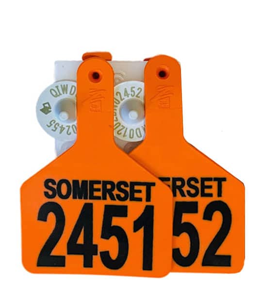 Zee Tag NLIS Cattle - 4Tags.com.au