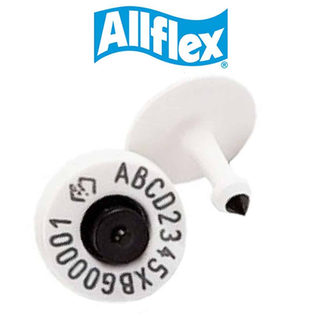 $1.99 NLIS Cattletags - 4Tags.com.au