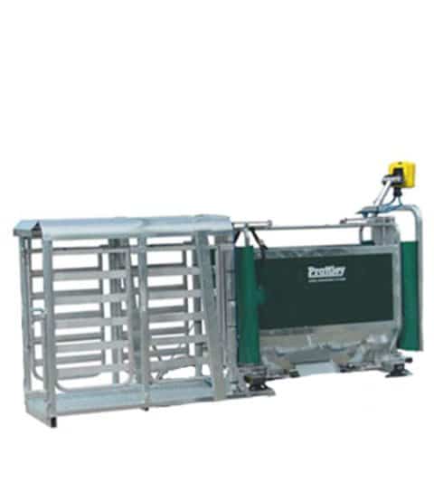 Tru-Test Prattley 5-Way Auto Drafter - Swing Gate - 4Tags.com.au