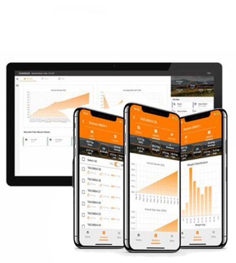 Gallagher Animal Performance App-Software - 4Tags.com.au