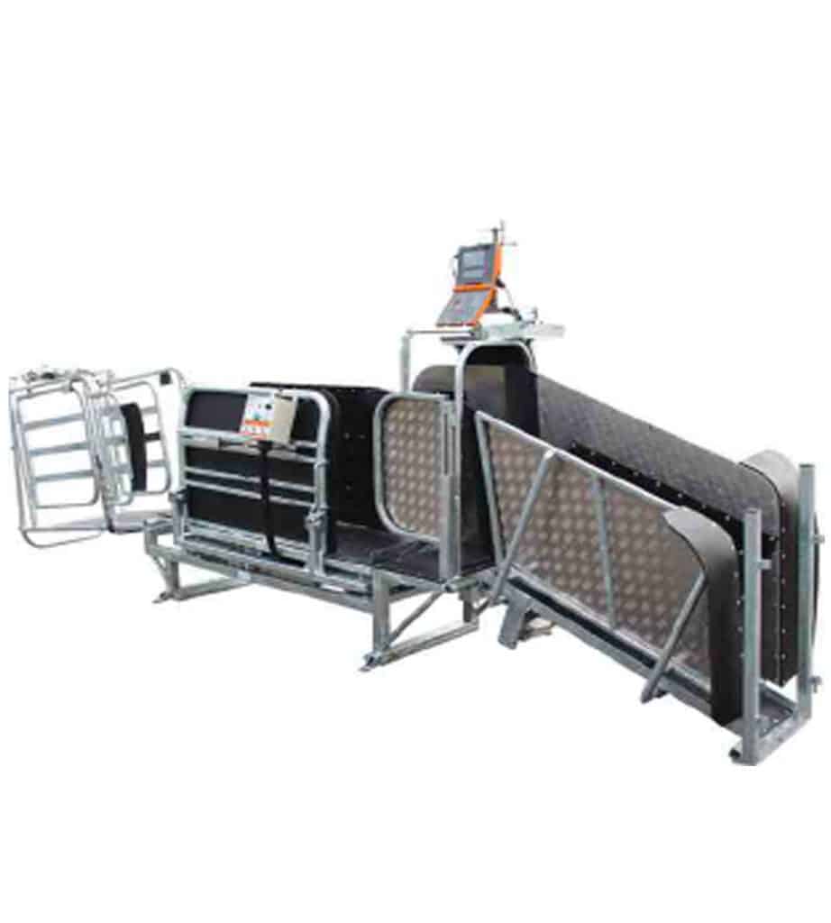 Weighing Systems - 4Tags.com.au