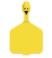 Allflex Tissue Sampling Units Incl Neogen Genomic Test - 4Tags.com.au