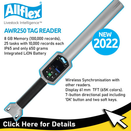 Just Better - 4Tags.com.au