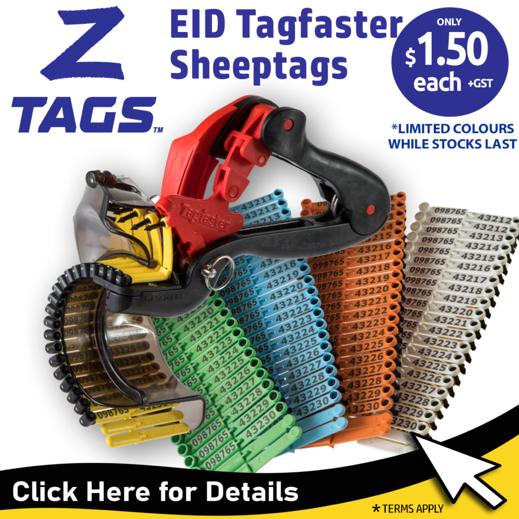 Just Better - 4Tags.com.au