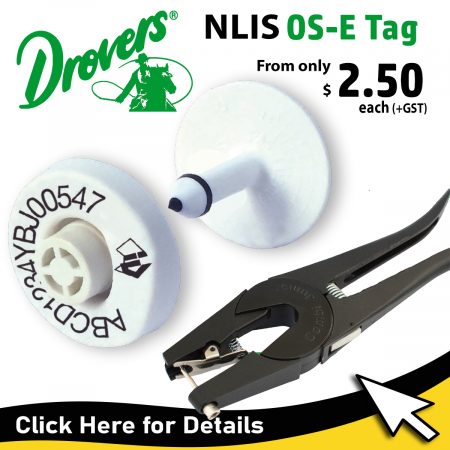 Just Better - 4Tags.com.au