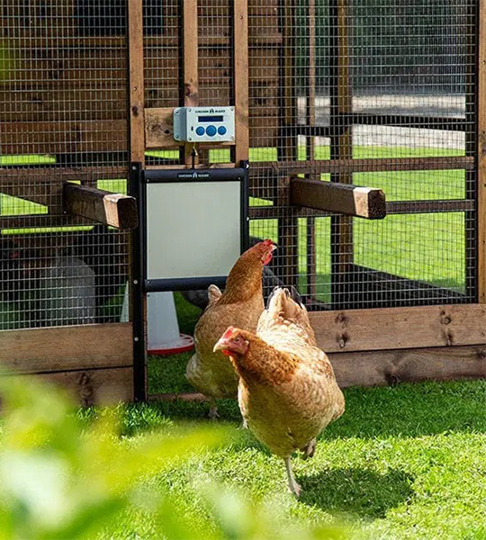 ChickenGuard Locking Combi Pro - 4Tags.com.au