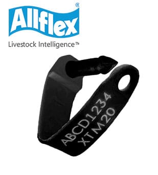 Allflex WA NLIS RapID EID Sheep & Goat Tag - 4Tags.com.au