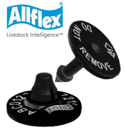 Allflex SA NLIS Lightweight Two Piece EID Sheep & Goat Tag - 4Tags.com.au