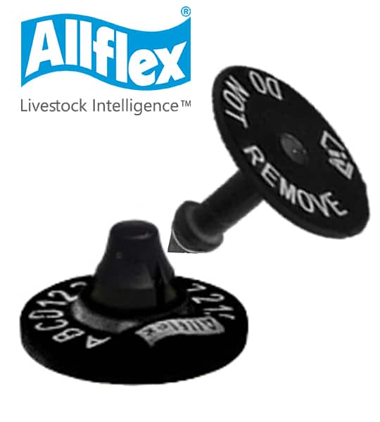 Allflex Two Piece Lightweight EID NLIS Sheep & Goat Tag - 4Tags.com.au