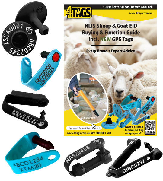 NLIS Sheep/Goat EID Tag Sample Pack & Free Guide - 4Tags.com.au