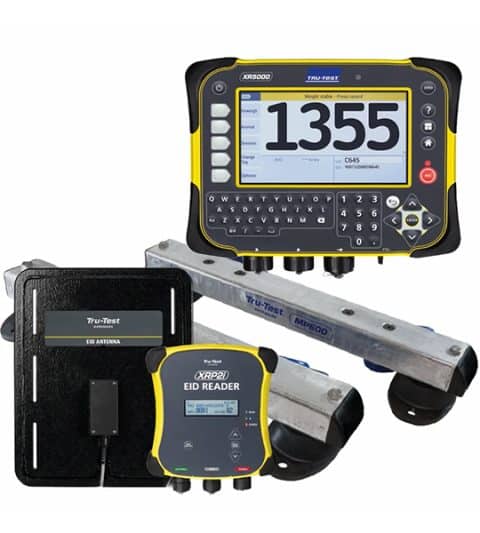 Tru-Test XR5000 Indicator, Small EID Panel And MP600 Load Bars Bundle ...