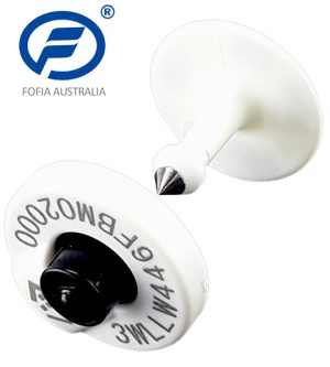 NLIS Cattle Tags - 4Tags.com.au