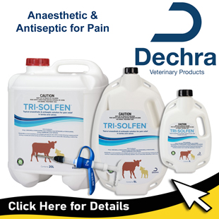 Better 4 Animal Health - 4Tags.com.au