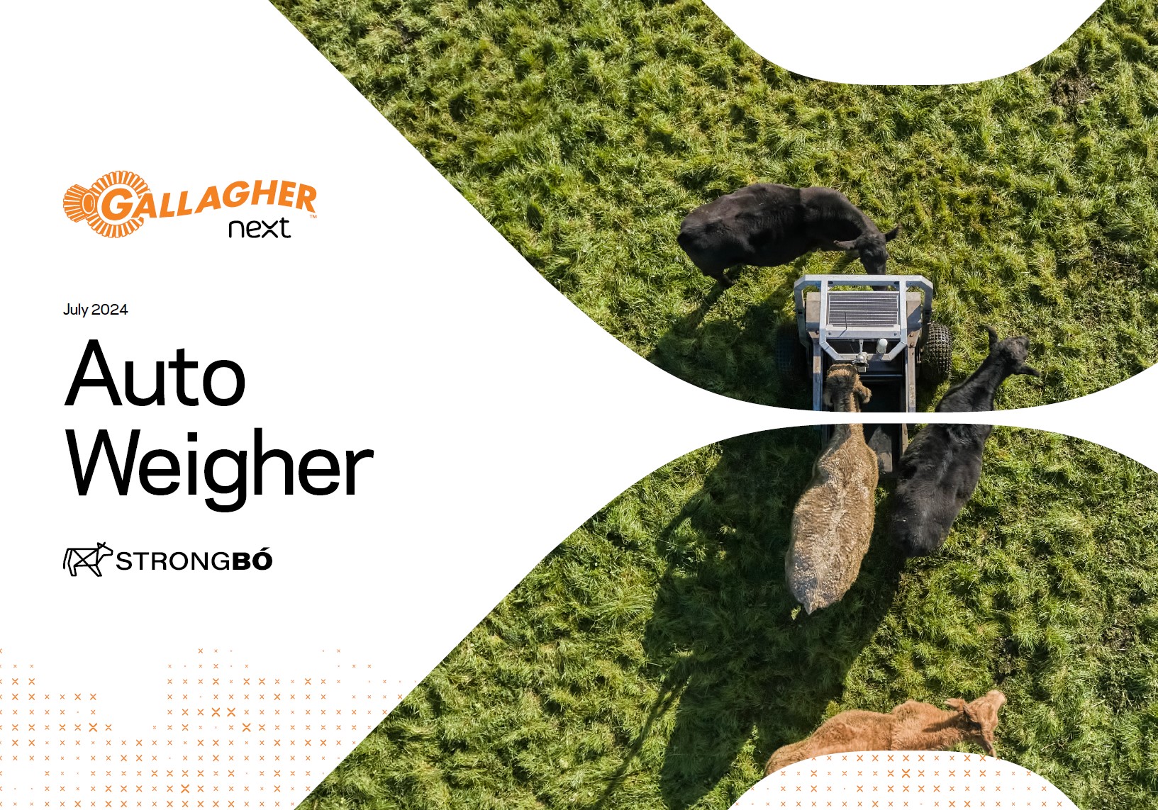 Gallagher Auto Weigher - 4Tags.com.au