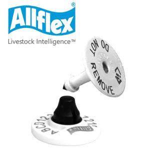 QLD Sheep & Goat NLIS EID - 4Tags.com.au