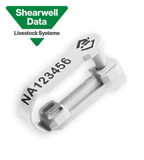 Shearwell NSW SET EID NLIS Sheep & Goat Tags - 4Tags.com.au