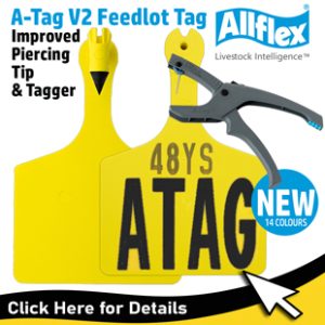 Just Better - 4Tags.com.au