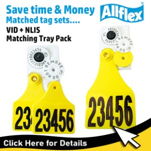 Just Better - 4Tags.com.au