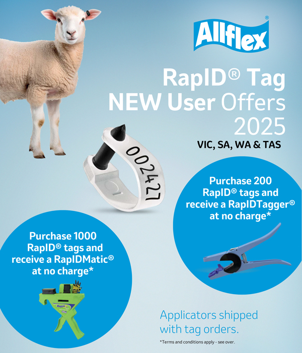 Allflex RapID NLIS EID Sheep & Goat Tags - 4Tags.com.au