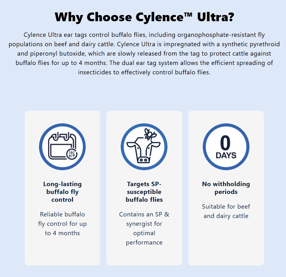 Cylence Ultra Insecticide Cattle Tag - 4Tags.com.au