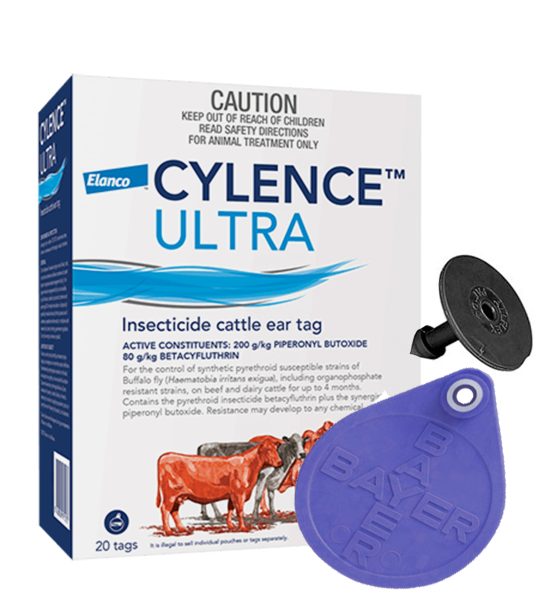 Cylence Ultra Insecticide Cattle Tag - 4Tags.com.au