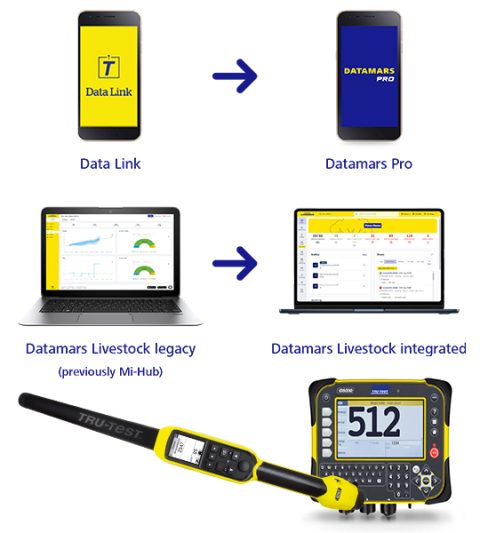 Datamars Pro - 4Tags.com.au